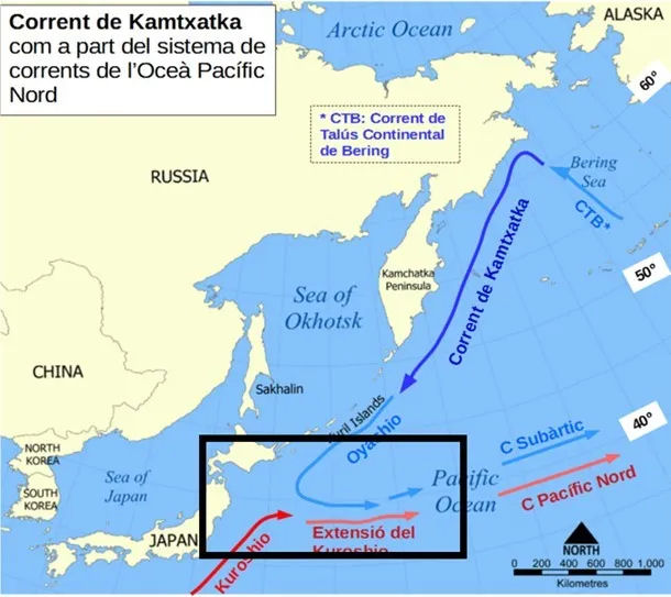 The Ignored Geothermal Hotspot off the Kamchatka Peninsula | Friends of ...